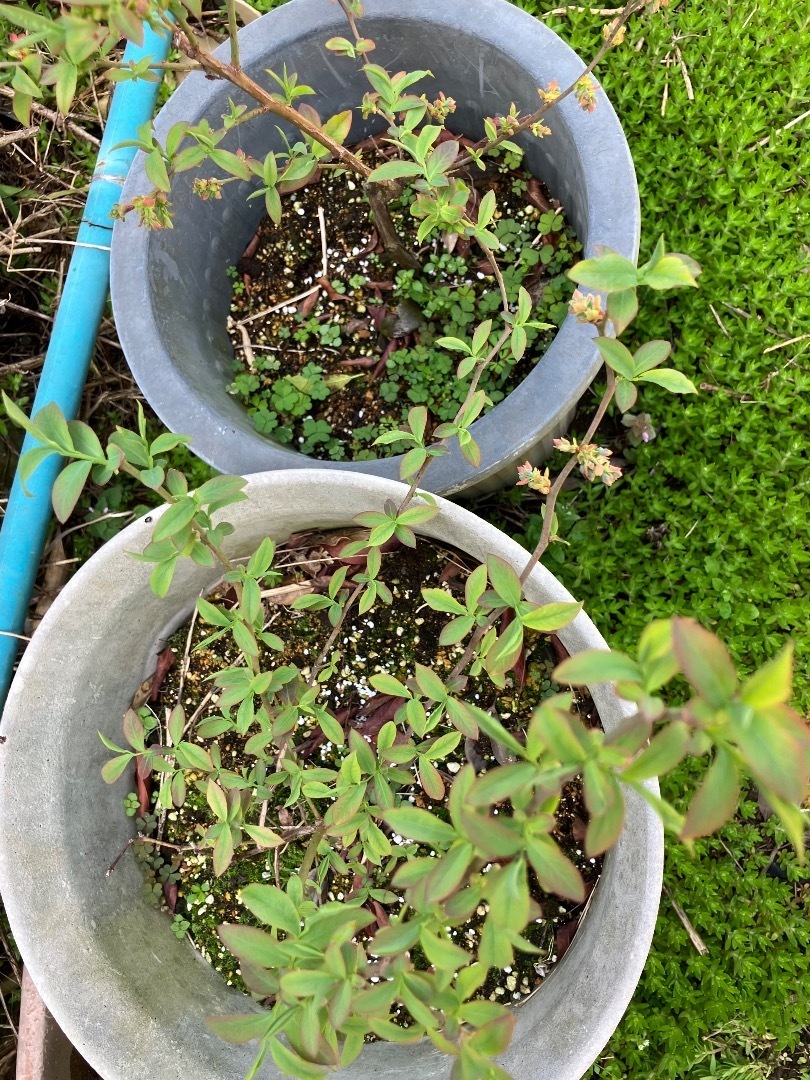 健康・安心・安全・省エネ・快適住宅・だんらん: 株式会社 潮田建設