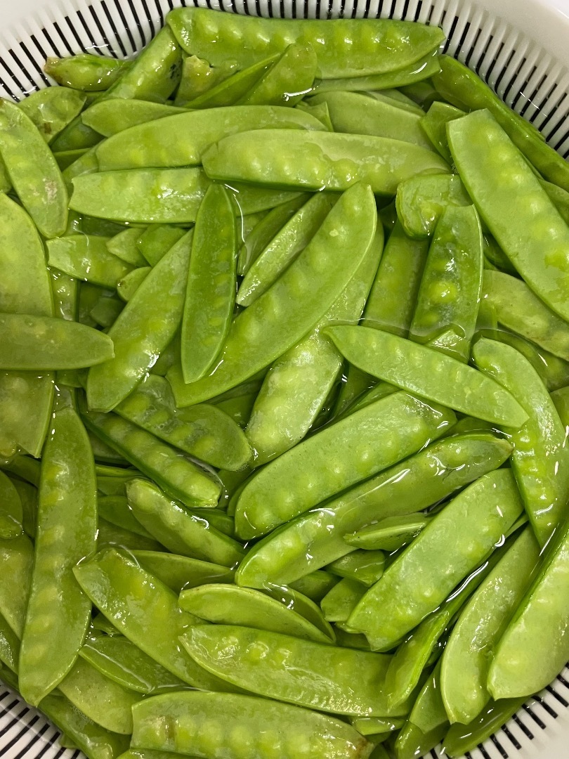 健康・安心・安全・省エネ・快適住宅・だんらん: 株式会社 潮田建設