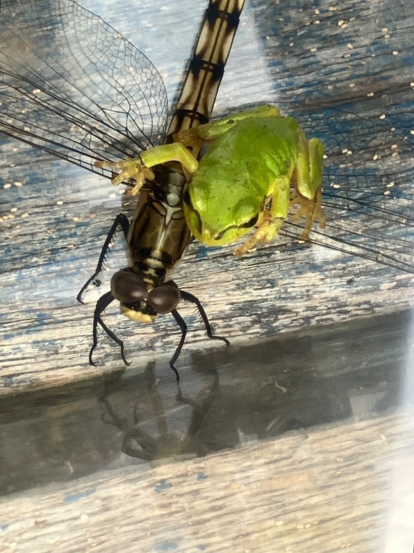 健康・安心・安全・省エネ・快適住宅・だんらん: 株式会社 潮田建設