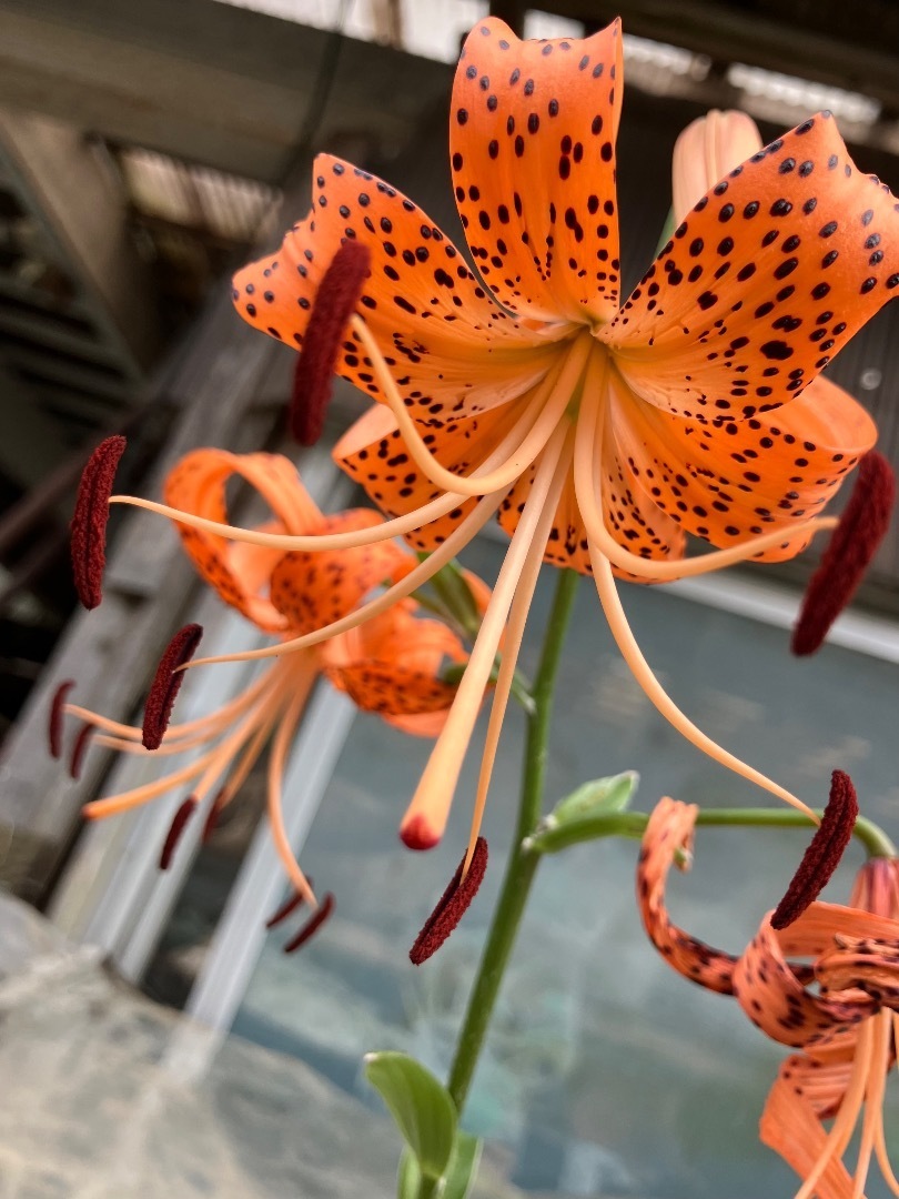 健康・安心・安全・省エネ・快適住宅・だんらん: 株式会社 潮田建設